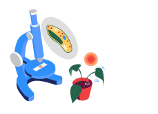 k-hub.in e library|A single platform for all e resources